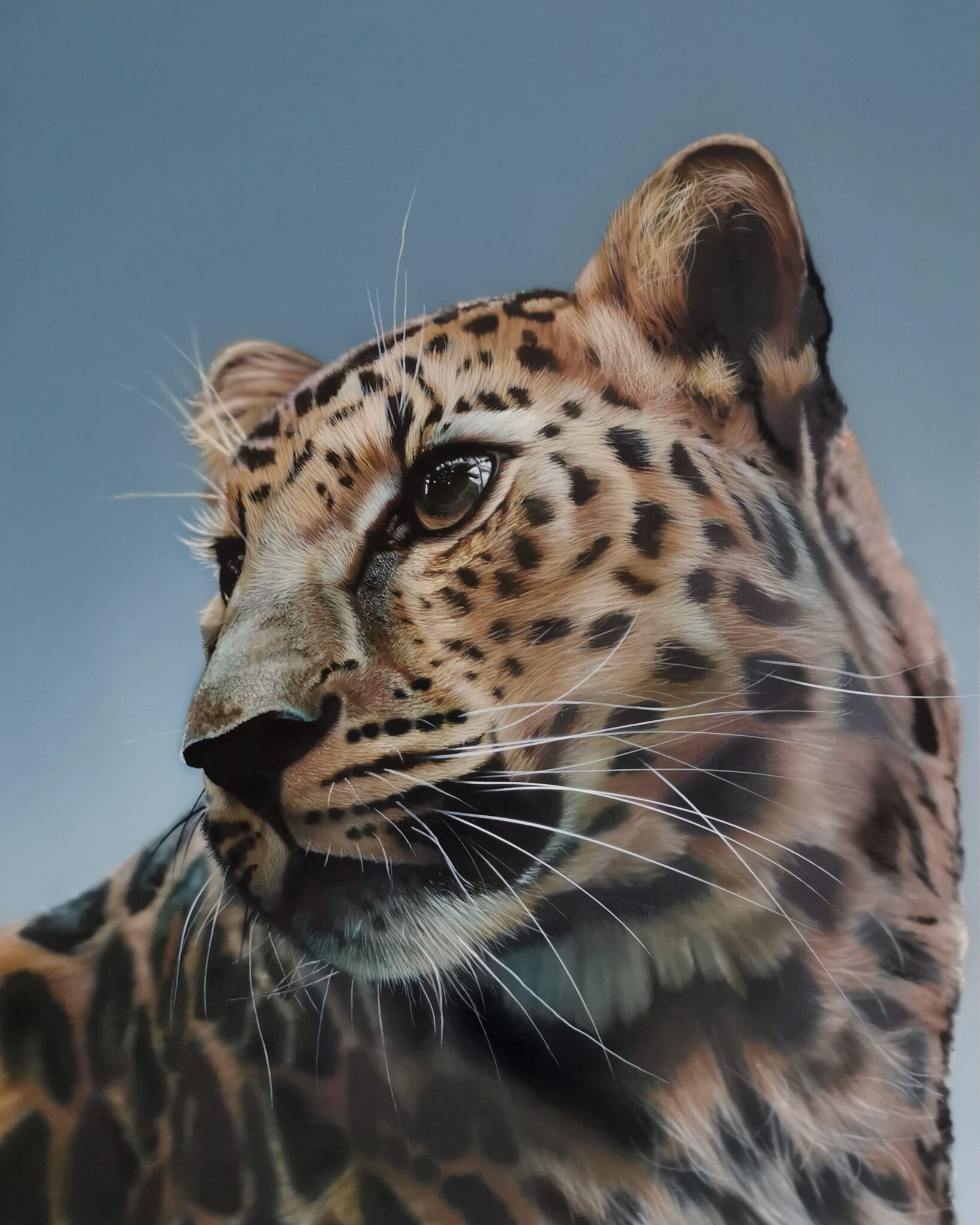 Andrew Caddick – Iwata Airbrush