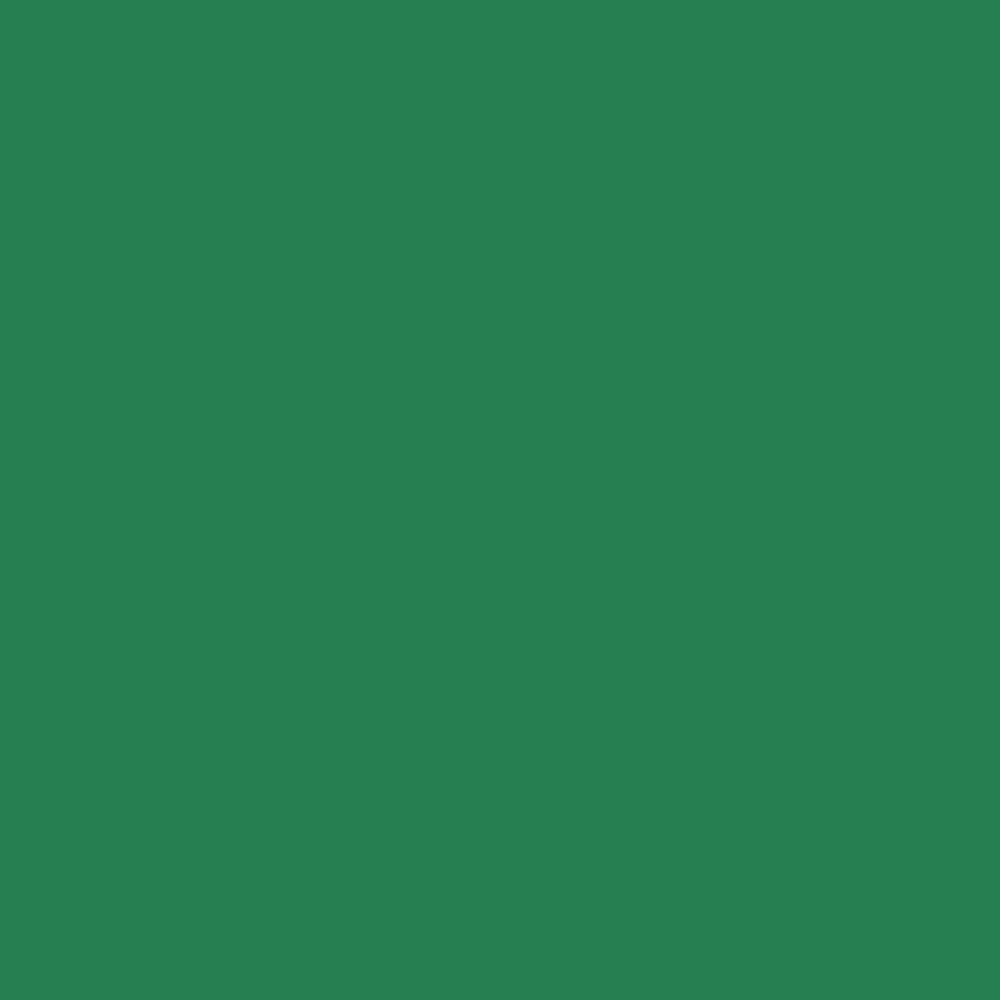 Createx Acrylic Colors Chrome Oxide Green, Gallon: Anest Iwata-Medea, Inc.